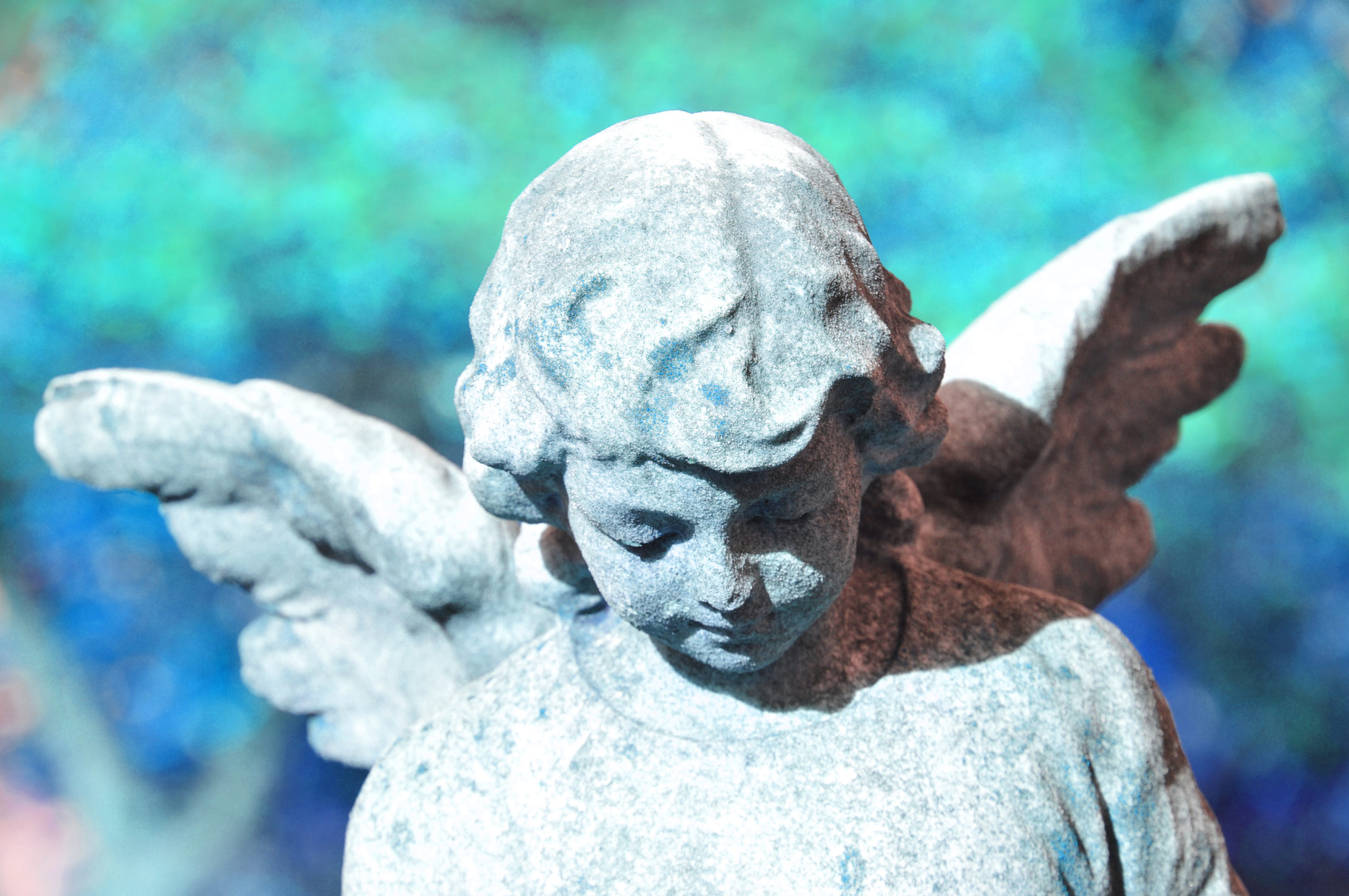 An Angel In Every Room | Alliance of Hope