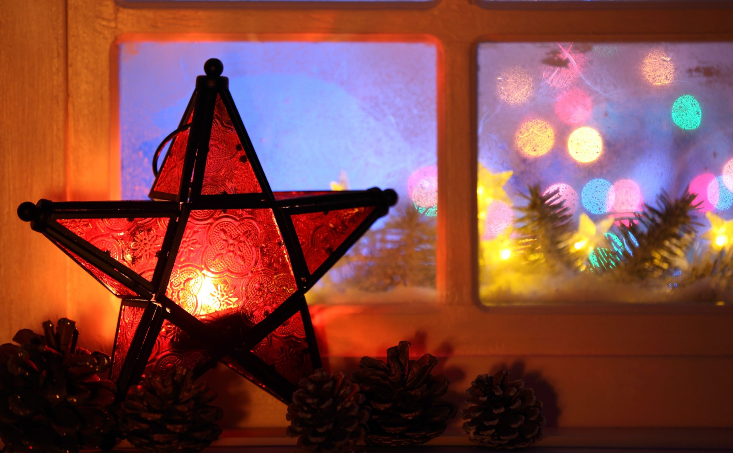 At Four Months - A Little Bit of Light in the Darkness | Alliance of Hope